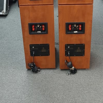 (2) Athena S3 Full Range Speakers with (2) P2 Active | Reverb