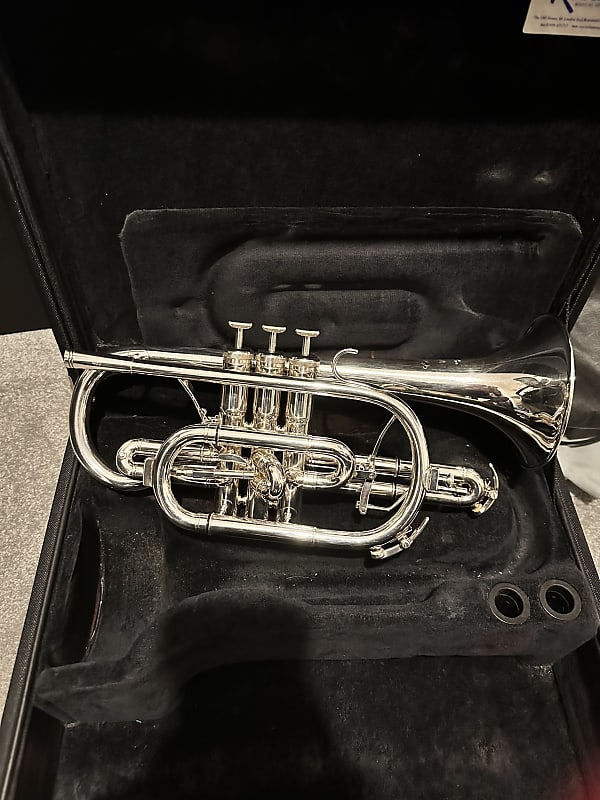 WILLSON CELEBRATION 460 B-FLAT CORNET (SILVER) CELEBRATION | Reverb UK