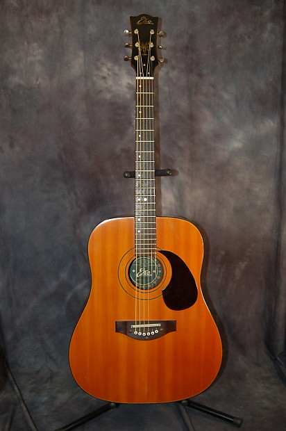 EKO Sombrero VI Dreadnought Adjustable Bridge Pro Setup | Reverb