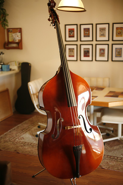 Lidl 3/4 Upright Bass | Reverb