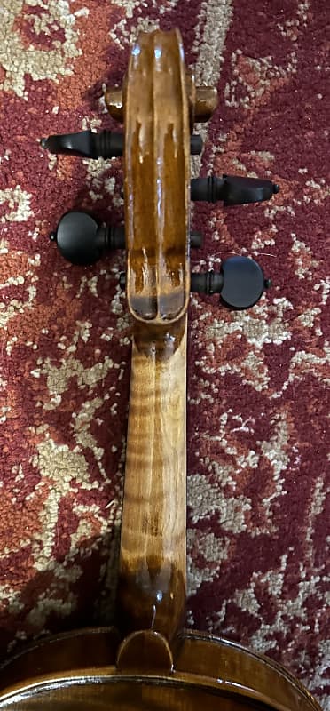 Peter Zaret Sino Coetaneo 2003 with CodaBow and case Ready To | Reverb