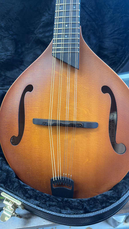 Handcrafted American made Breedlove Mandolin w/ hardcase | Reverb