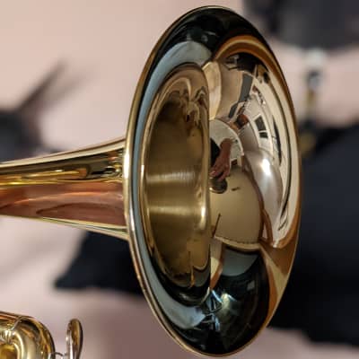 Austin Custom Brass Doubler's Series Large Bore Cornet 2021 - | Reverb