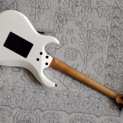 Kiesel Aries Titanium 2023 | Reverb