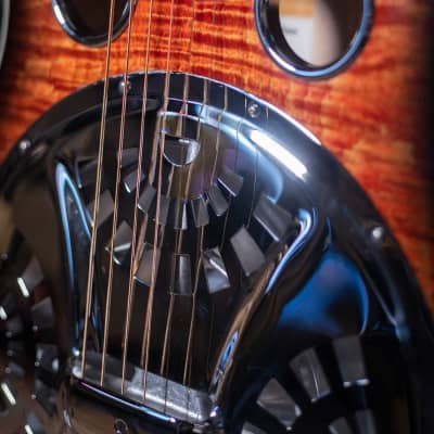 National Scheerhorn L-Body Figured Maple - Scheerhorn Deluxe | Reverb