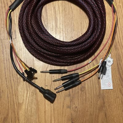 SylviaTone Guitars 25ft 4 cable method loom - AC cable | Reverb