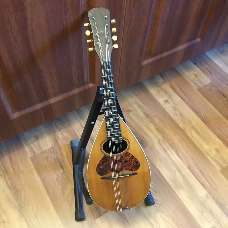 Vega Bowlback Mandolin w/Lined Bag | Reverb