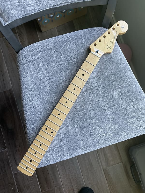 Fender Stratocaster - Maple Neck | Reverb