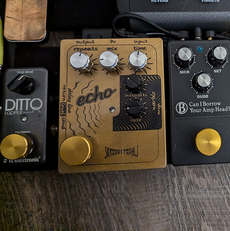 Skreddy Echo -- tall enclosure, top jacks, effects | Reverb Canada