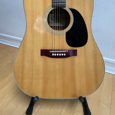 Carlos 240 Dreadnaught Acoustic Guitar c. 1976-1978 | Reverb