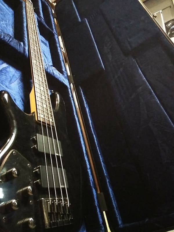 Schecter Raiden Custom 4 LEFTY | Reverb