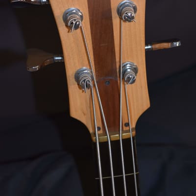 Pedulla Interceptor Fretless (Buzz) Bass... Extremely Rare | Reverb
