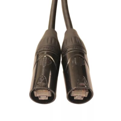 5 ProX 2 Ft Ethernet Cat 6 RJ45 Shielded Cable Digital | Reverb