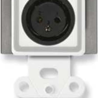 Mint RDL D-J3 Mic/Line Input Assembly, XLR, RCA, Terminal | Reverb