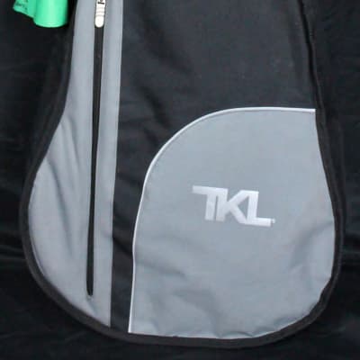 Hamer XT Series Double Cut Archtop Honeyburst Electric Guitar | Reverb