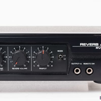Roland RV-100 Spring Reverb #2 | Reverb