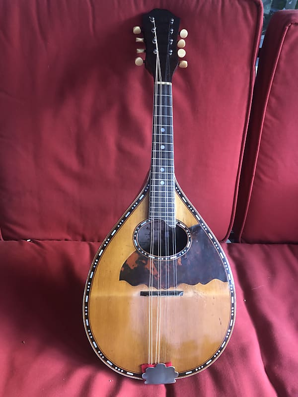 Supertone Mandolin Rosewood, Fully Restored, w/ Pearl 1930s, | Reverb
