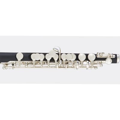 Blessing Piccolo, ABS body, Metal headjoint, Outfit | Reverb