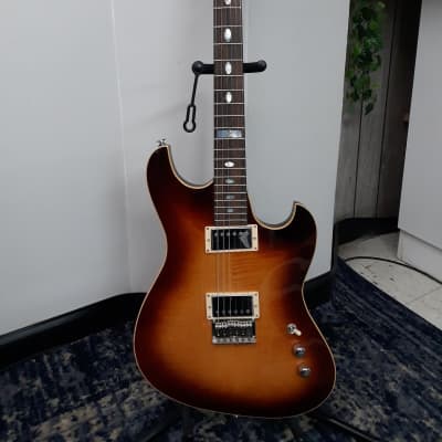 Ron Oates Semi-Hollow Electric Guitar | Reverb