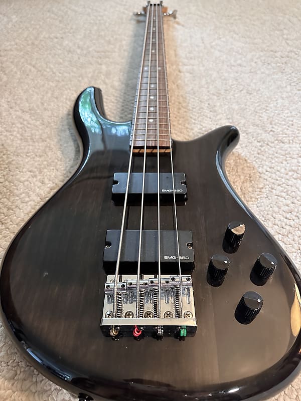 Spector Performer 4 DLX 2005 | Reverb