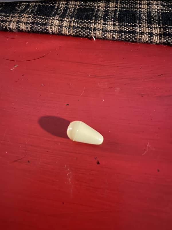 Fender Strat ivory selector switch button | Reverb