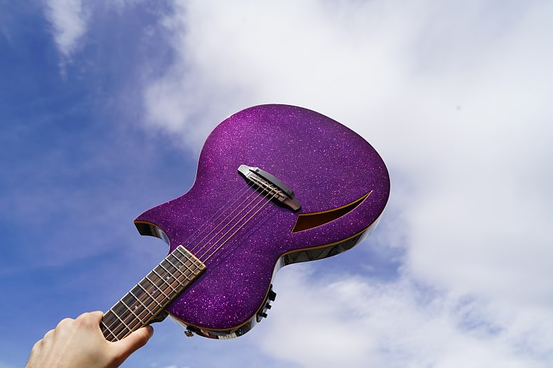 ESP LTD TL-6 Purple Sparkle Burst 6-String Acoustic Electric | Reverb