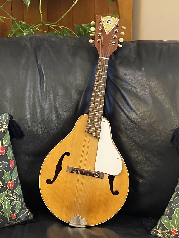 Kay Mandolin 1966 Natural Spruce Mahogany Maple Rosewood | Reverb