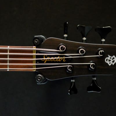 Spector Forte 5 2023 - Satin Black | Reverb
