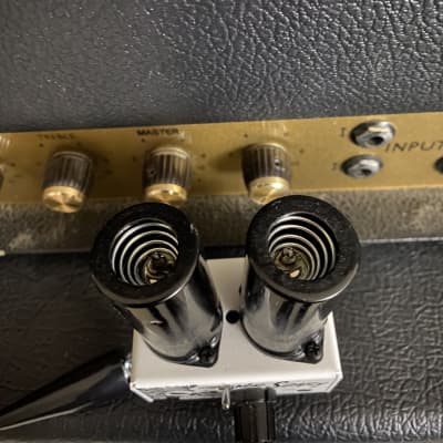 Legendary Tones Hot Mod Mr Scary George Lynch Standard wire | Reverb