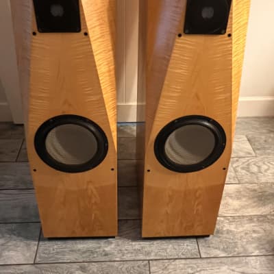 Avalon Eclipse Floor Standing Speakers | Reverb