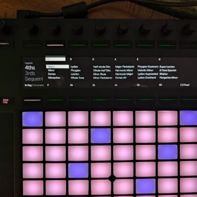 Ableton Push 2 - WITH DECKSAVER | Reverb