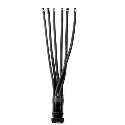 SOCO SOCAPEX 5 ft 19 PIN Male to 6 Blunt Ends - Breakout | Reverb