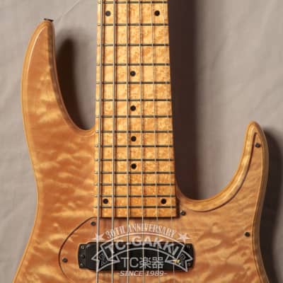 Fodera 1997 Anthony Jackson Contrabass Guitar [5.30kg] | Reverb