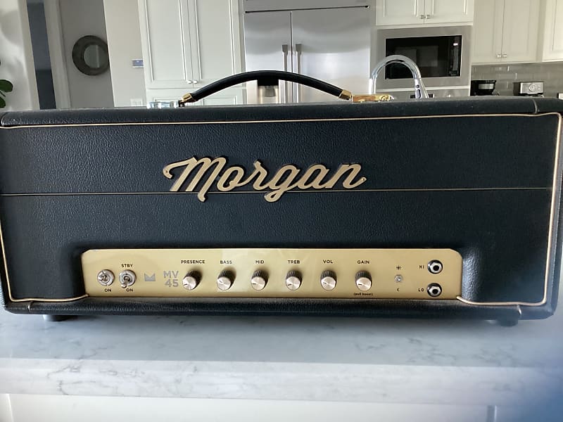 Morgan Amplification MV 45 | Reverb