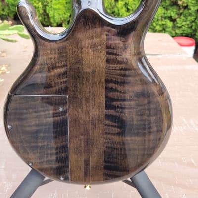 Pedulla buzz fretless bass guitar | Reverb