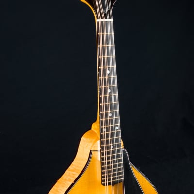 Pava A5 Pro Honey Amber Adirondack Spruce and Quilted Maple | Reverb