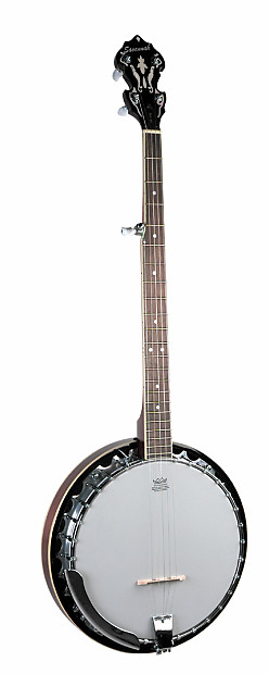 Planetary 5-String Banjo w/ Free CD & Tuning Chart | Reverb