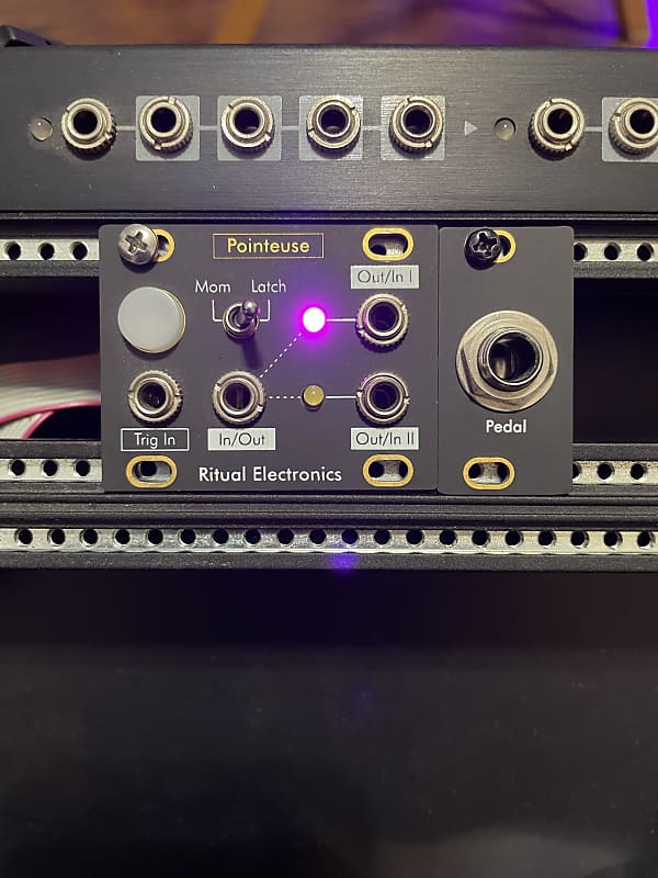 Ritual Electronics Pointeuse | Reverb