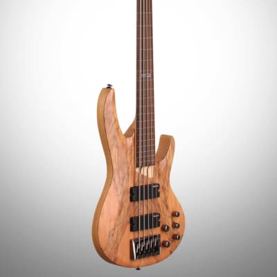 ESP LTD B205 Fretless Electric Bass (5-String) | Reverb