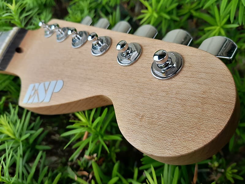 Musikraft "Franky" Maple Guitar Neck Indian Rosewood | Reverb Canada