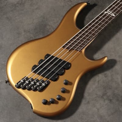 Dingwall Lee Sklar 2023 - Ari Gold | Reverb