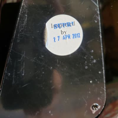 Dean Razorback Dime X Ray Signature guitar w/OHSC 2012 | Reverb