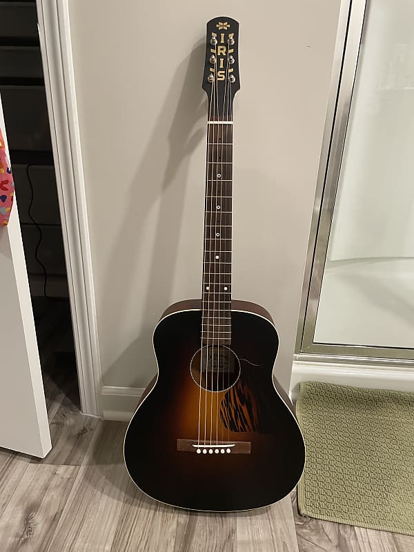 Iris De-11 Dan Erlewine Acoustic Guitar 2022 - Sunburst | Reverb