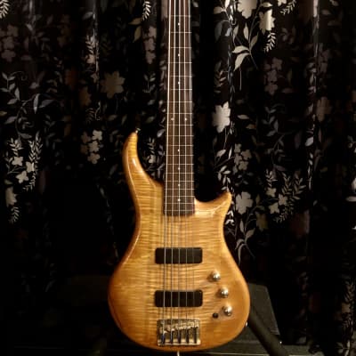 Pedulla ThunderBass 5 Strings Bass Neckthru | Reverb