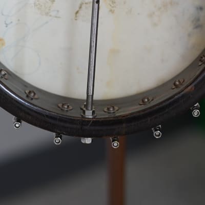 Gibson Banjo Mandolin Bill Monroe Signed | Reverb