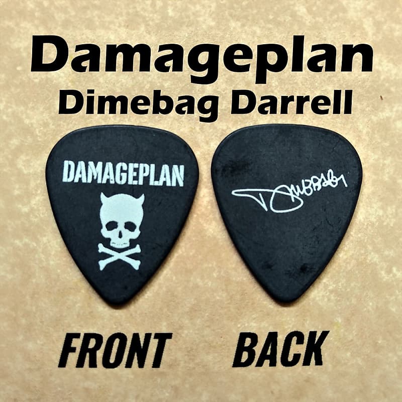 DAMAGEPLAN DIMEBAG DARRELL ABBOTT PANTERA SIGNATURE GUITAR | Reverb