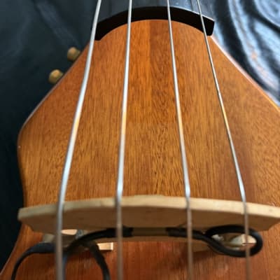 Hofner Upright Solid-Body Jazz Bass - Very Rare | Reverb Canada