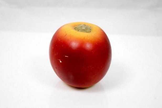 Remo Extra Fancy Fruit Shaker - Percussion Shaker Apple - 3 | Reverb