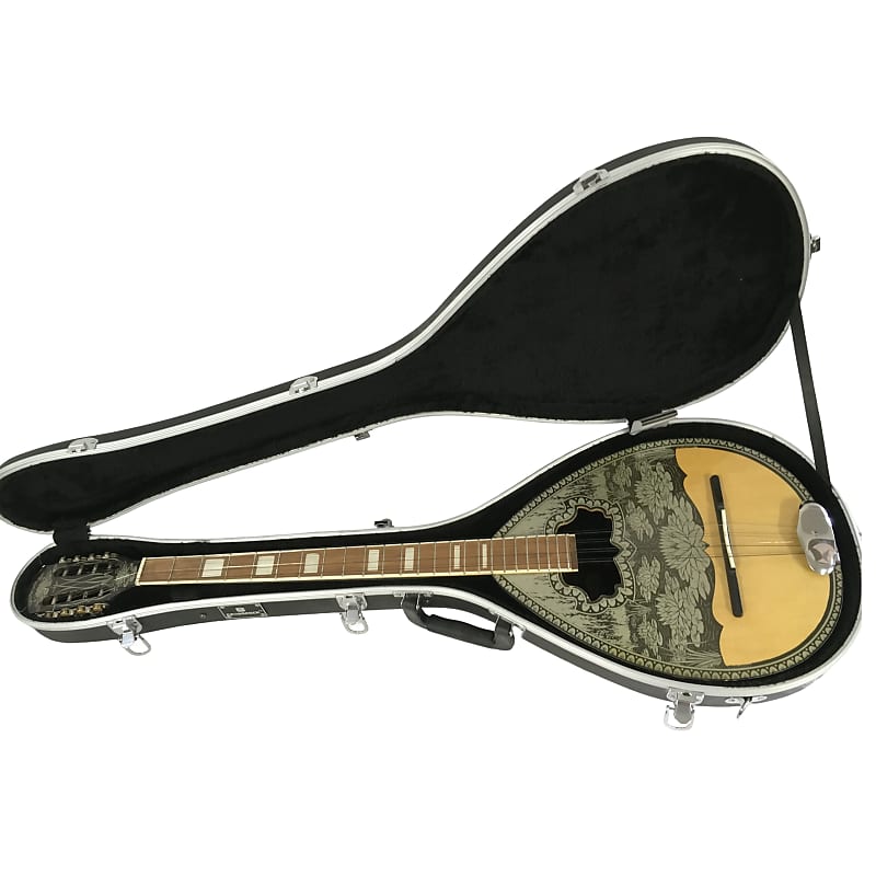 Ecorda Bouzouki Greek Guitar Cased | Reverb