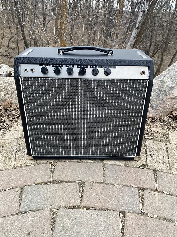 Princeton Reverb custom hand wired vintage style fender clone | Reverb
